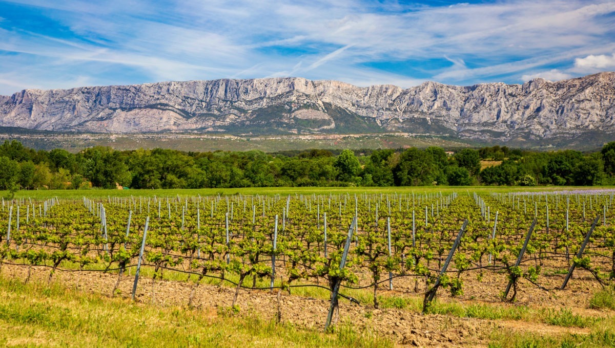 Your Guide to the Provence Wine Region - French Side Travel