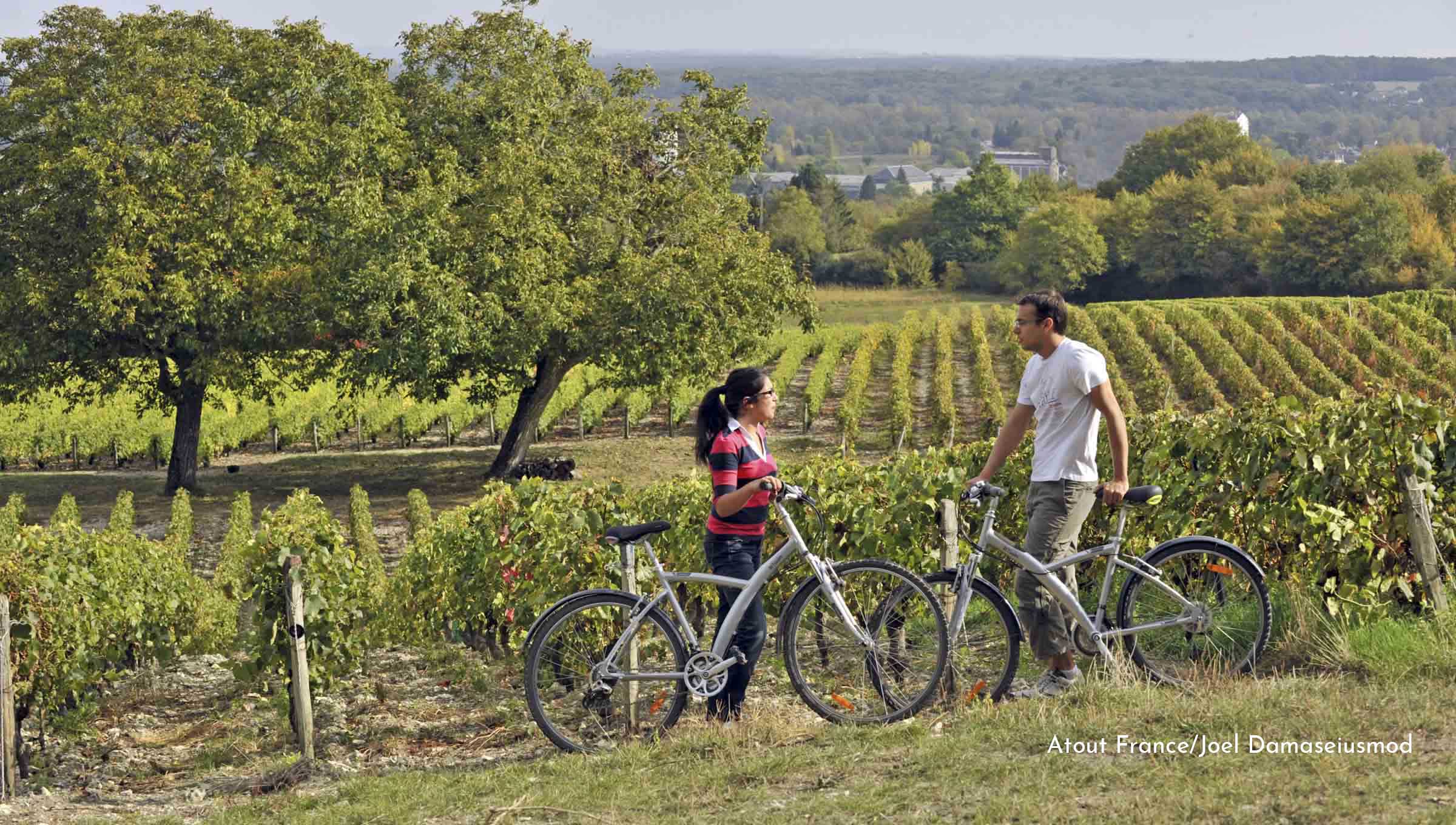 Discover the Best of Beautiful Dijon - French Side Travel