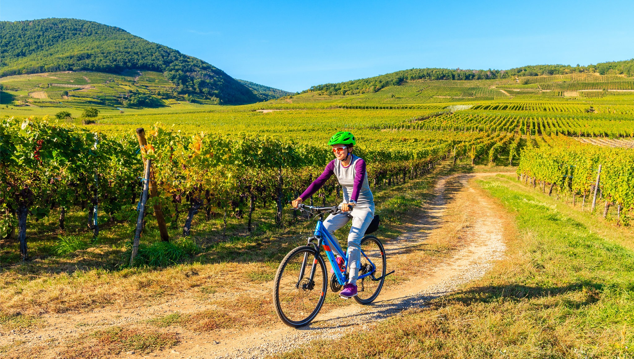 Champagne Tailor-Made Luxury Trips by Local Experts