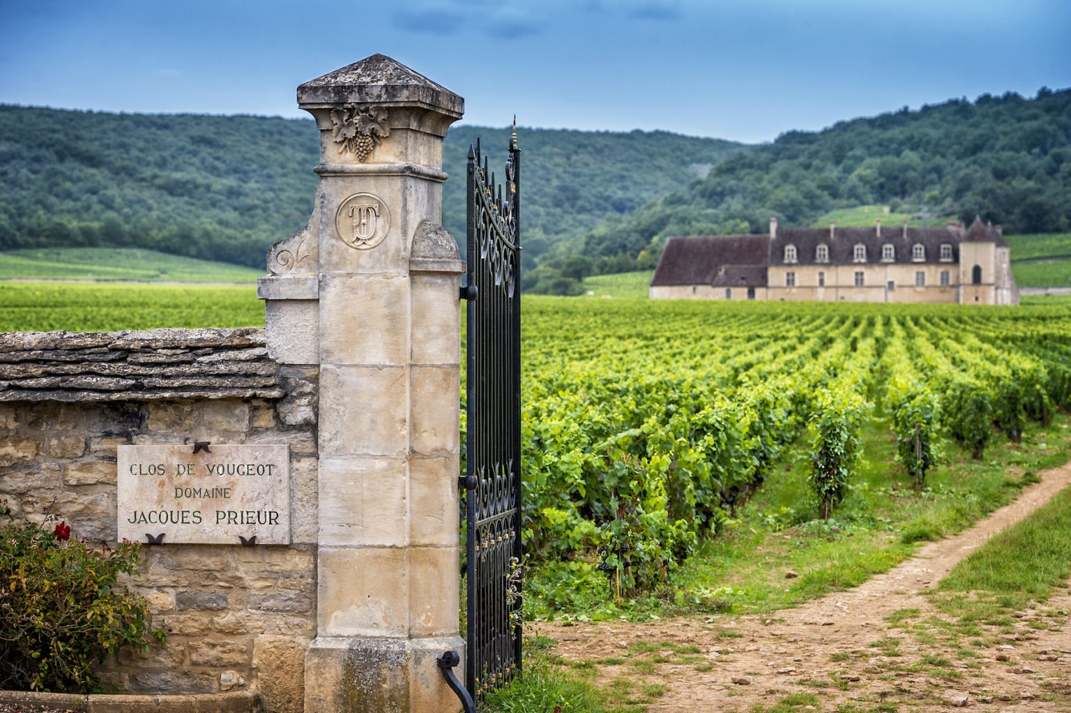 The 2025 Grape Harvest in France - French Side Travel