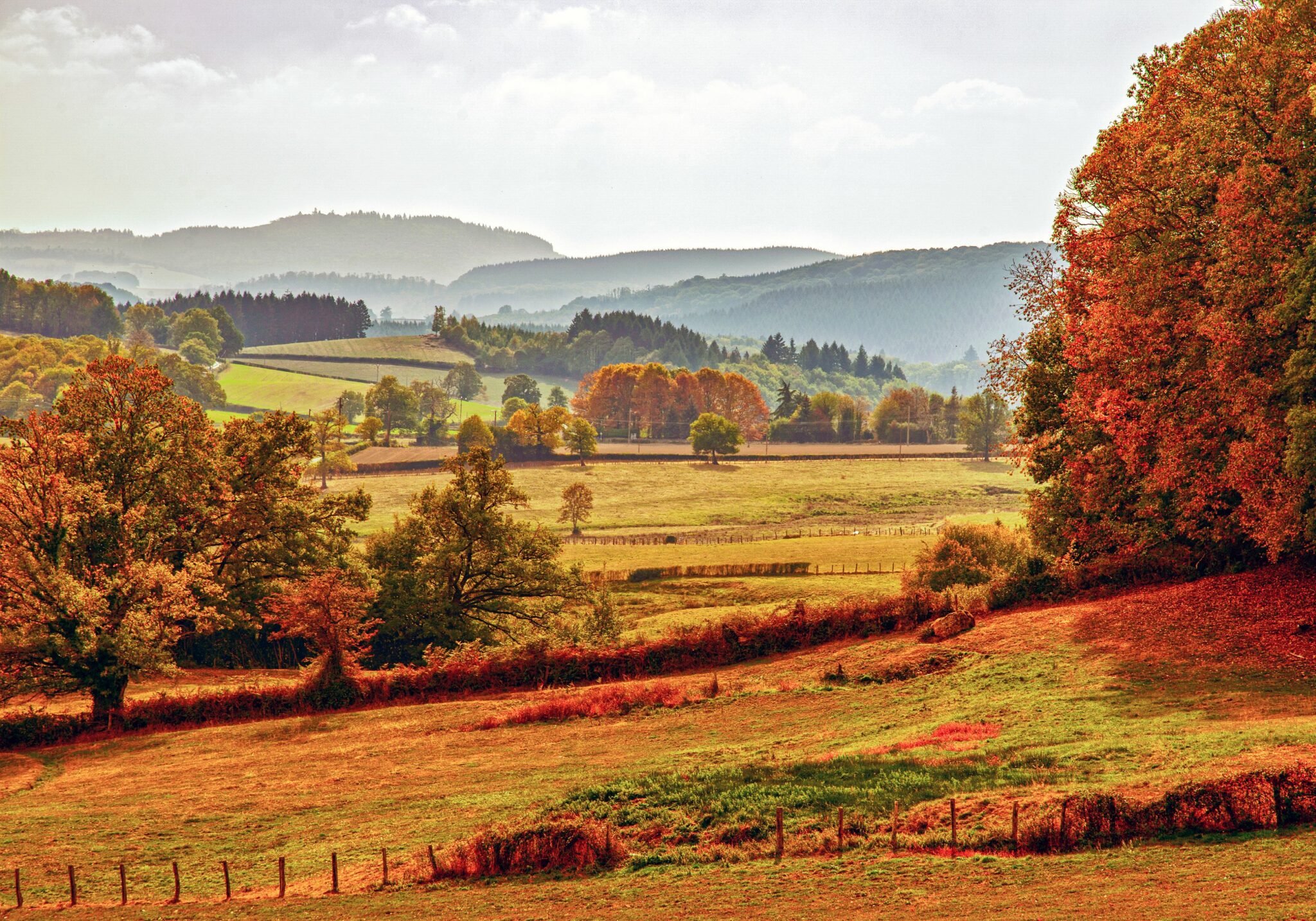 Fall in France: What to See and Do - French Side Travel